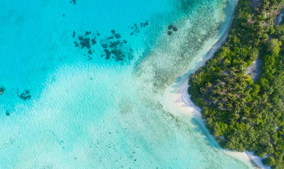 Malediven vs. Seychellen: Welches Reiseziel ist besser?