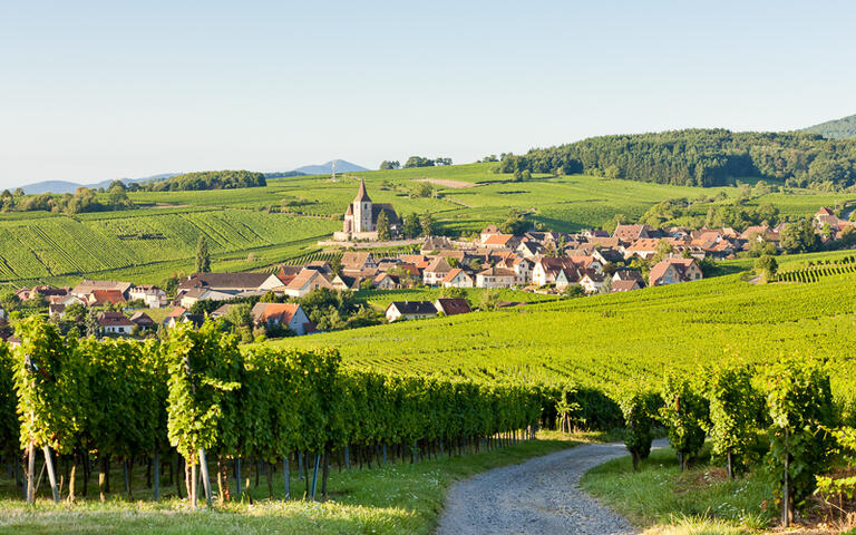 Elsass / Lothringen Urlaub | Hotels günstig buchen